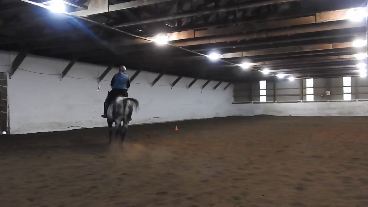 Walk/Trot Equitation Pattern (Virtual Horse Show) - YouTube