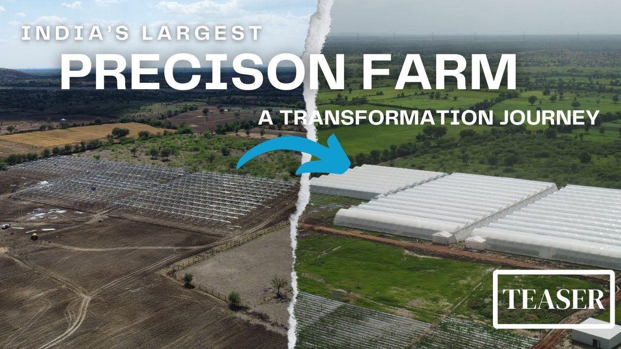 India's Largest Precision Farm | Rise Hydroponics | Sangam Farms ...