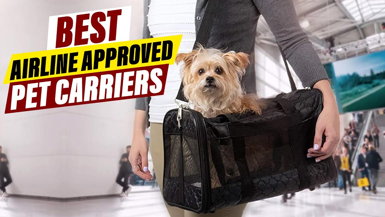 Top 5 Airline-Approved Pet Carriers: A Comprehensive Guide - YouTube