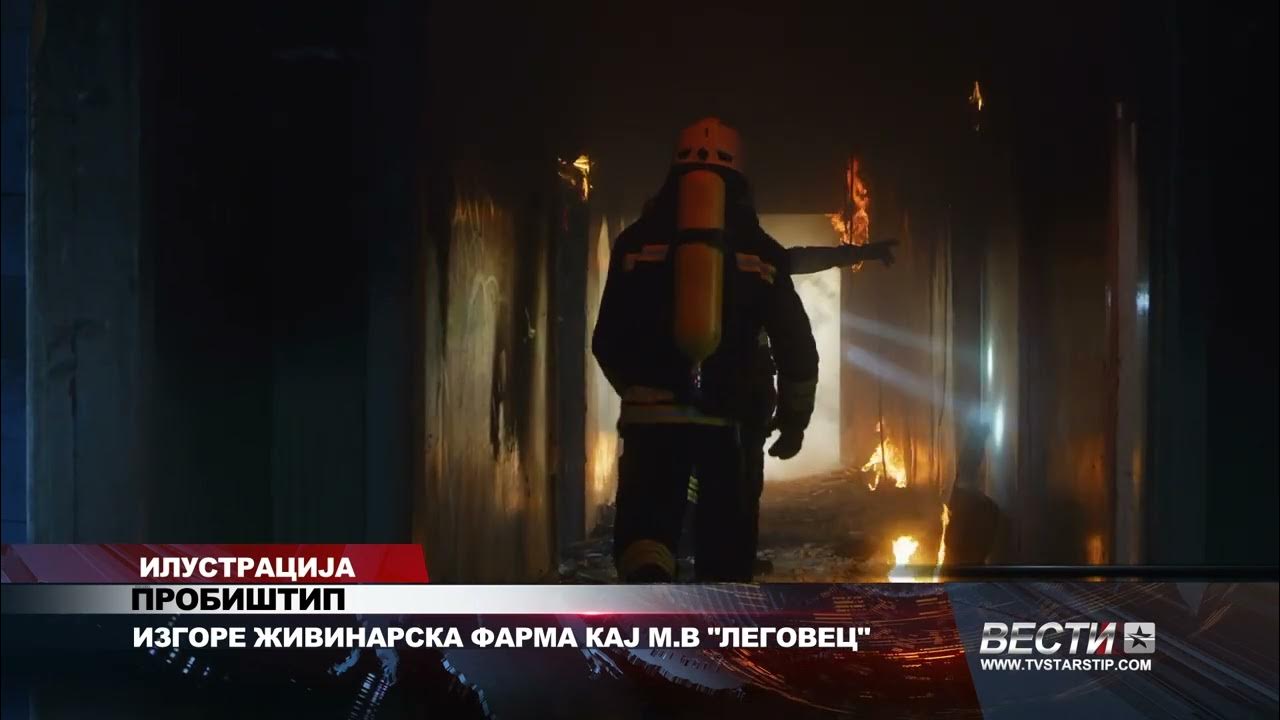 ПРОБИШТИП ИЗГОРЕ ФАРМА ЗА ЖИВИНА КАЈ ЛЕГОВЕЦ Youtube