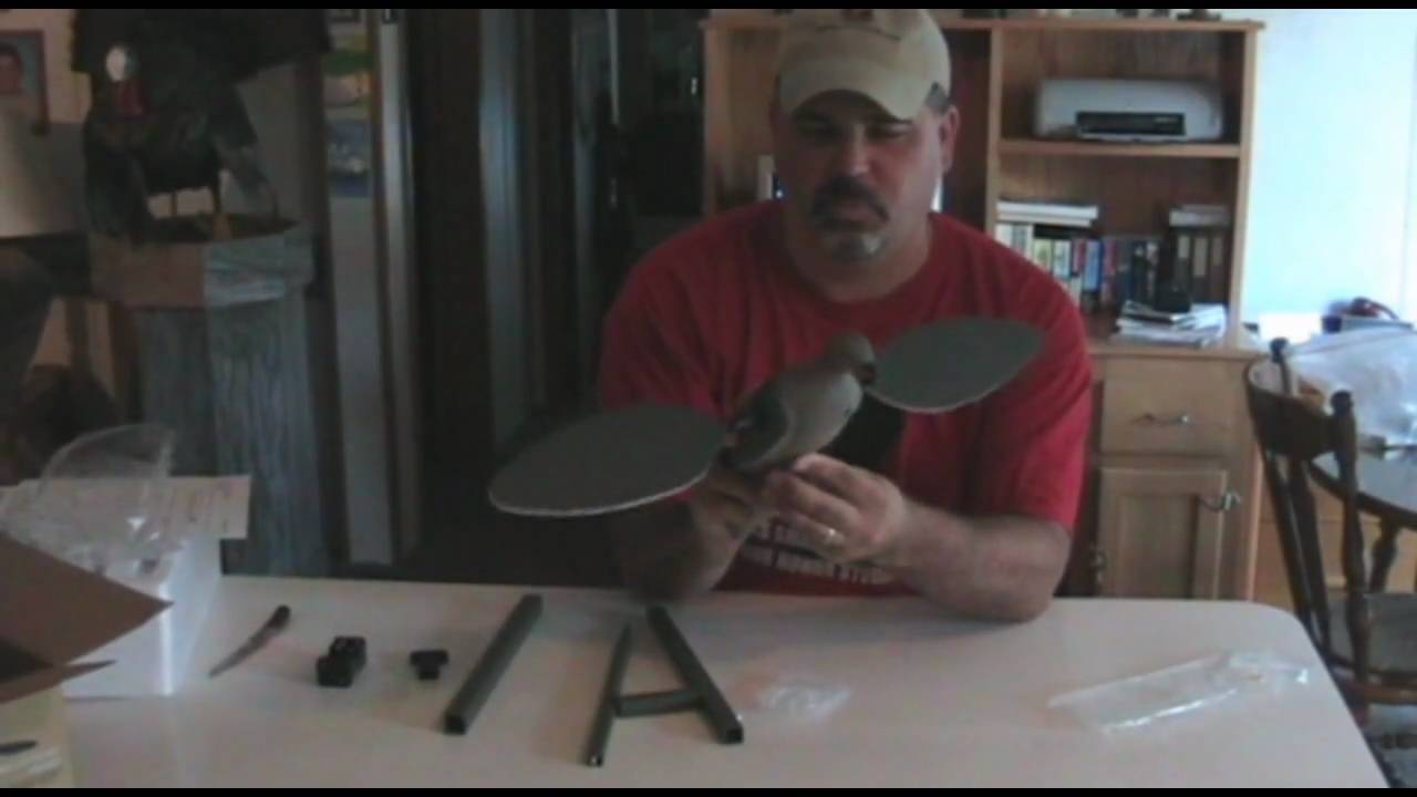 Mojo Dove Decoy Unboxing Review - YouTube