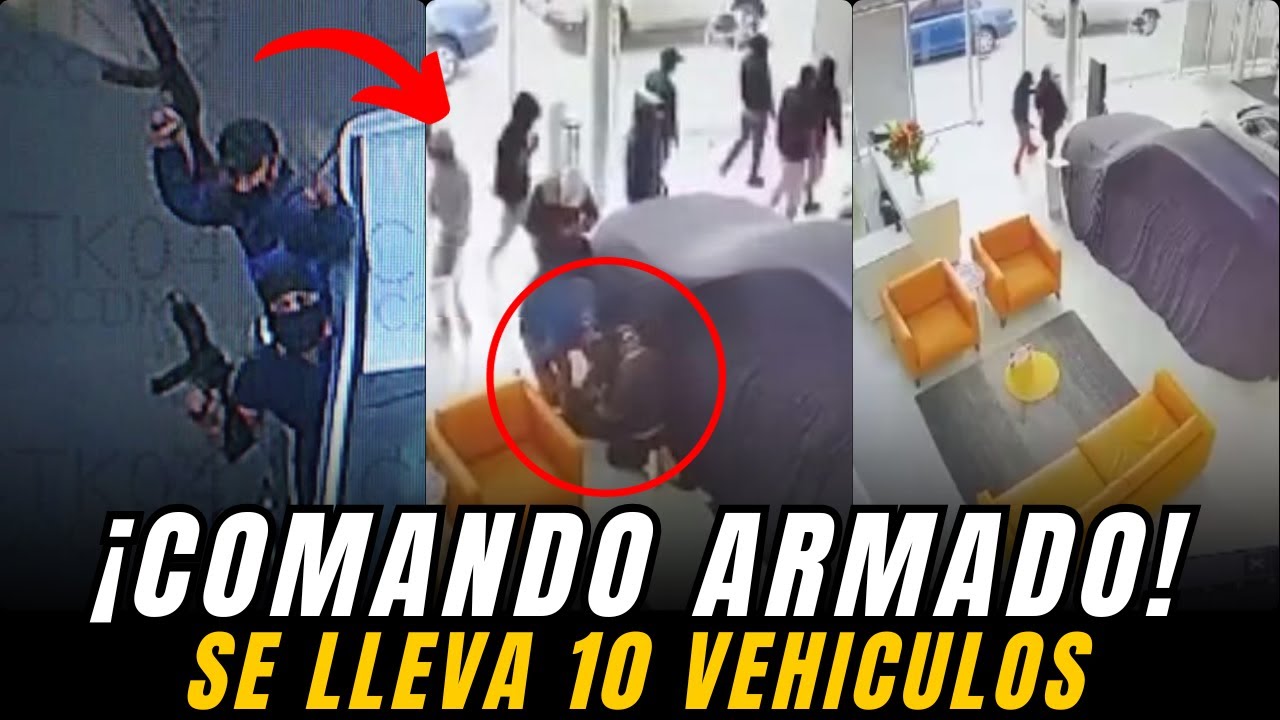 ¡COMANDO ARMADO INGRESA EN AGENCIA DE AUTOS Y SE LLEVA 10 VEHÍCULOS CON ...