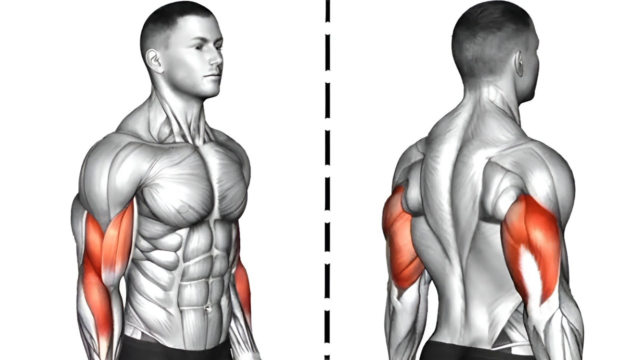 8 MINUTE ARM WORKOUT ( No Equipment ) - YouTube