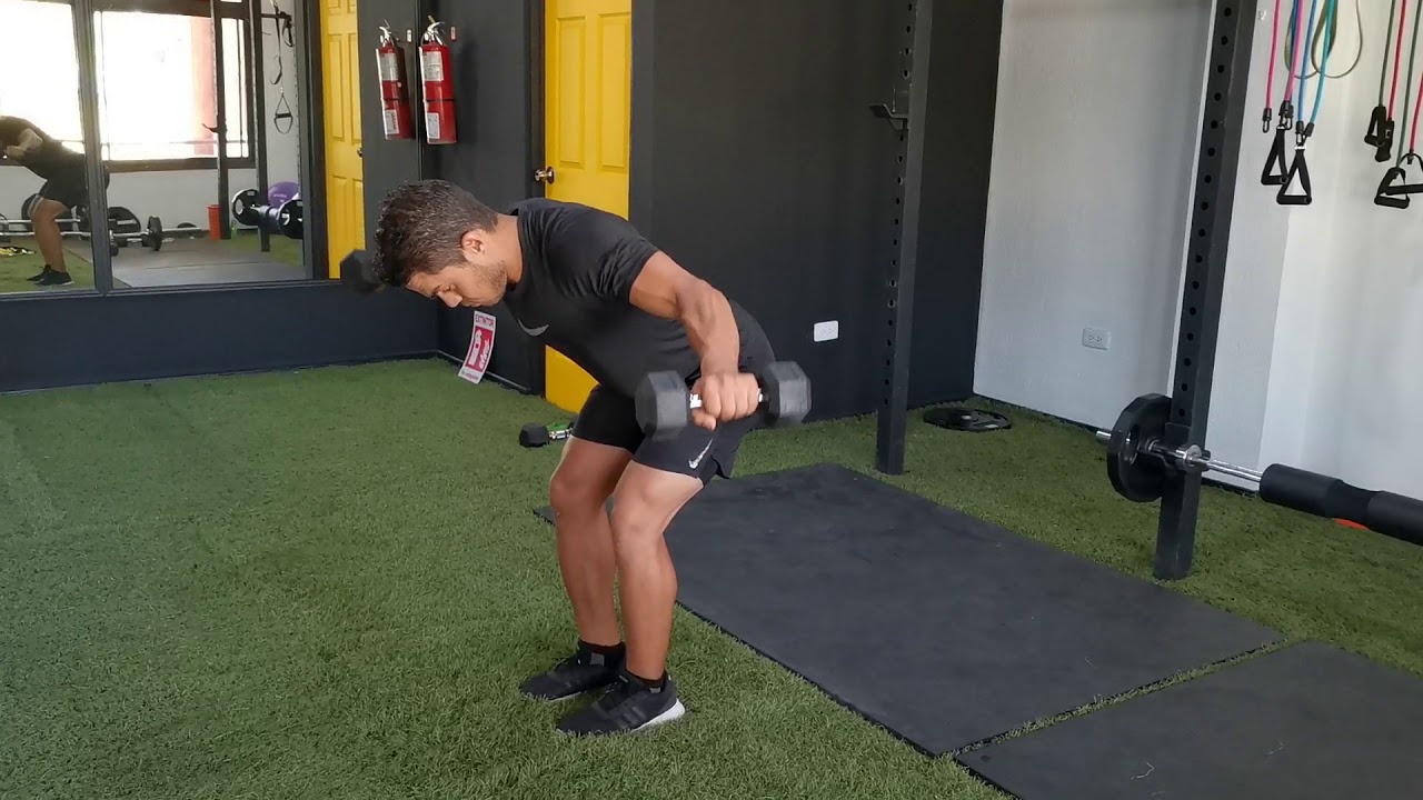 Posteriores con Mancuernas /Dumbbell Rear Delt Fly - YouTube