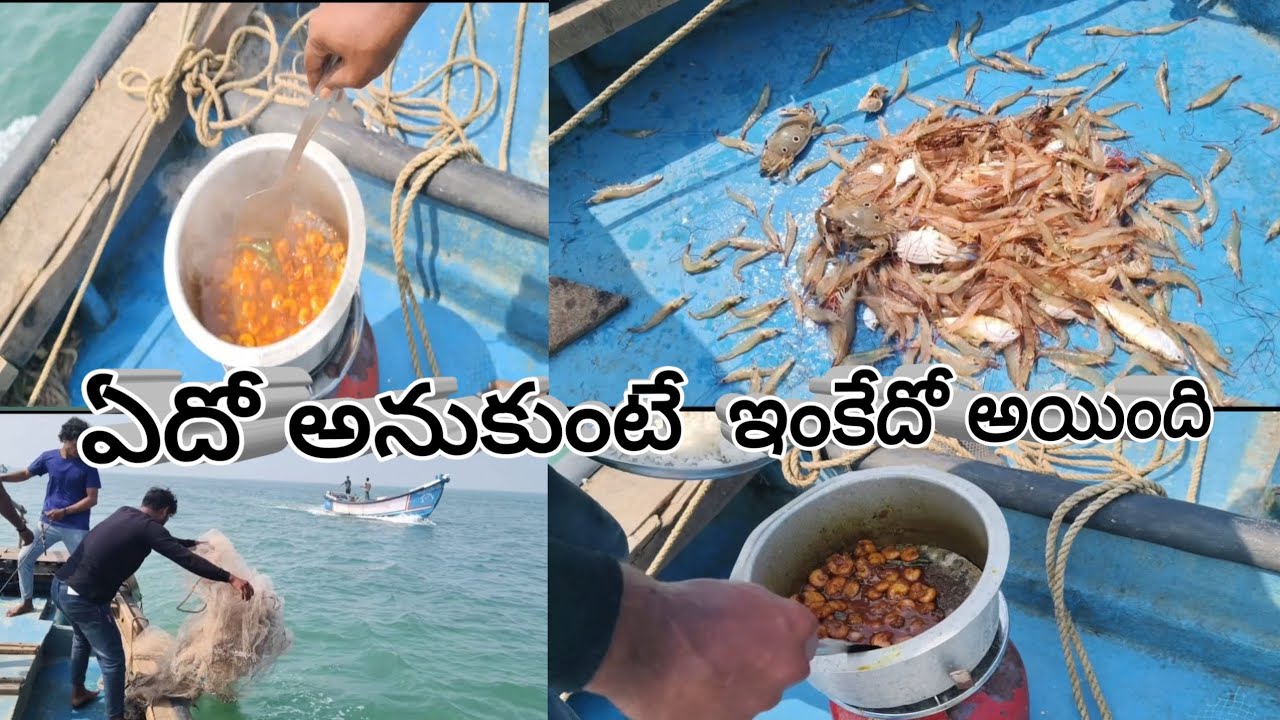 live fishing and live cooking #చేపల వేట.... - YouTube