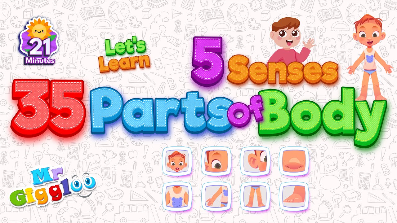 35 Parts of Body and 5 Senses for Kids | Learn Human Body for Preschool ...