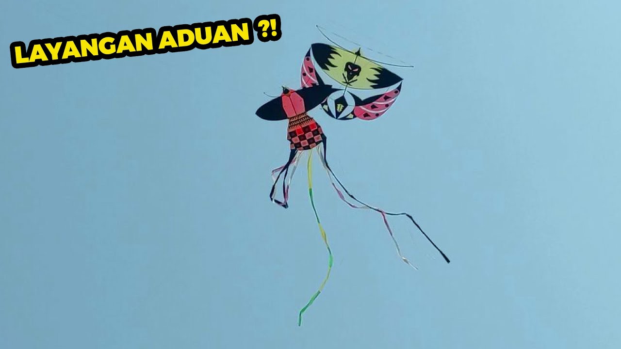 HEBOH ADU LAYANGAN BESAR !!! SEMUA BERSORAK, FESTIVAL LAYANG LAYANG ...