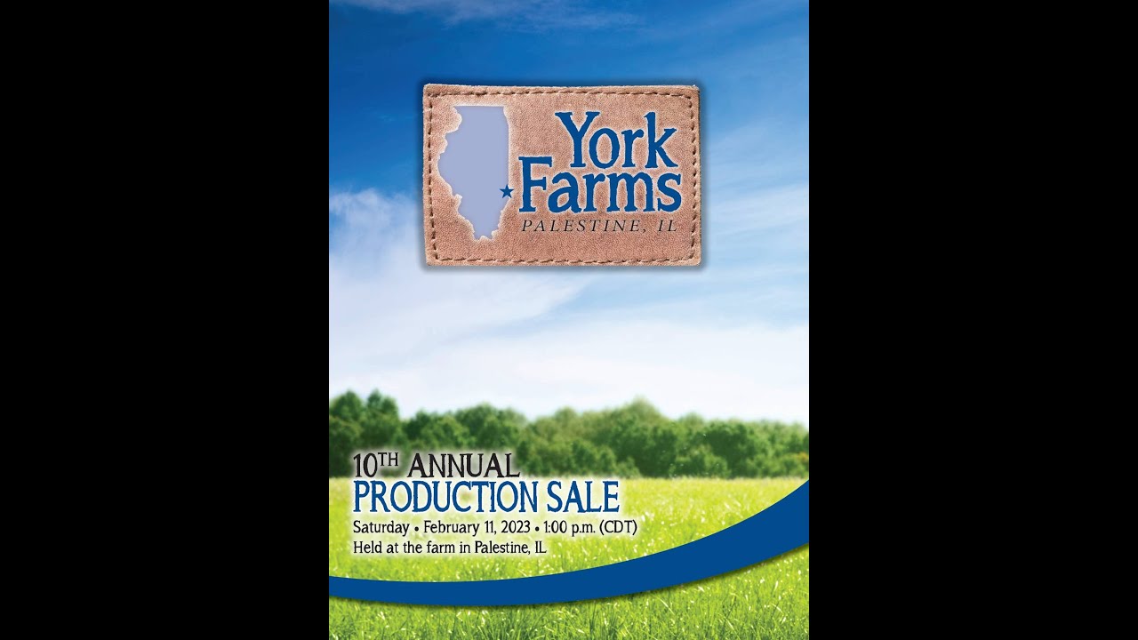 2023 York Farms - YouTube