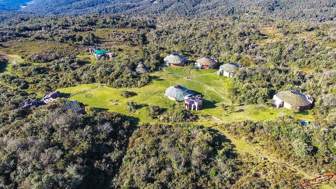 AGUARONGO PROTECTED FOREST - YouTube