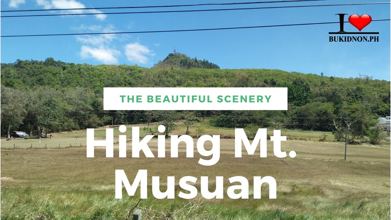 The Beautiful Scenery Hiking Mt. Musuan - YouTube