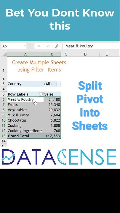 Split Pivot Table into multiple sheets #exceltips - YouTube