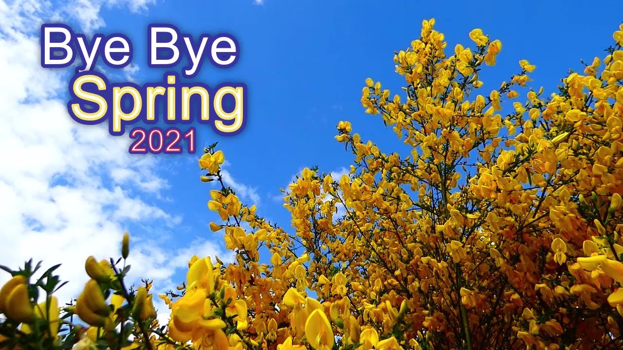 Bye bye Spring 2021 - YouTube