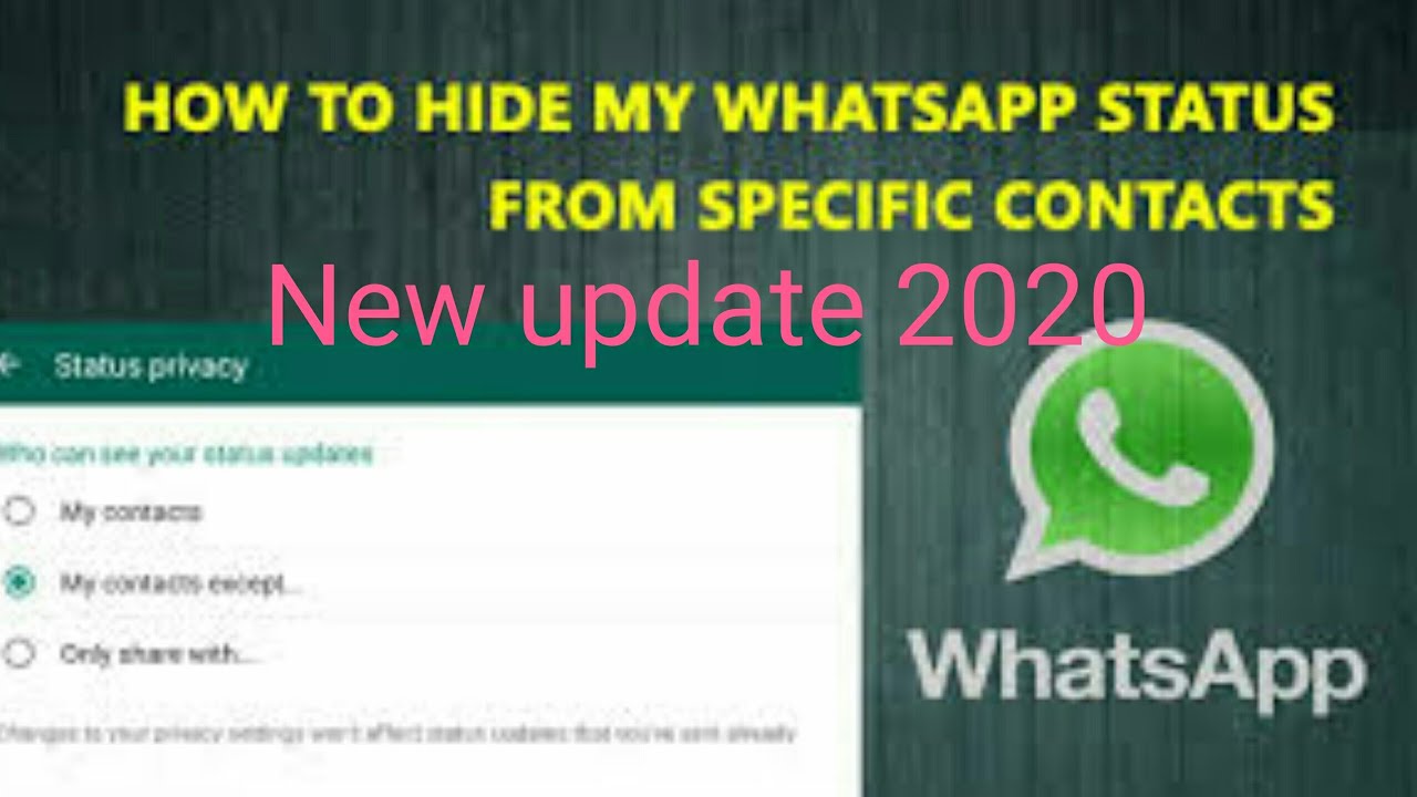 How To Change Whatsapp Status Privacy YouTube how-to-change-whatsapp-status-privacy-youtube