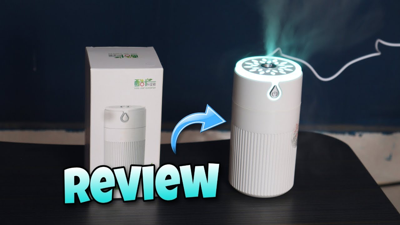 SKYTONE Cool Leaf Humidifier Review | Good or Bad Under RS 800? - YouTube