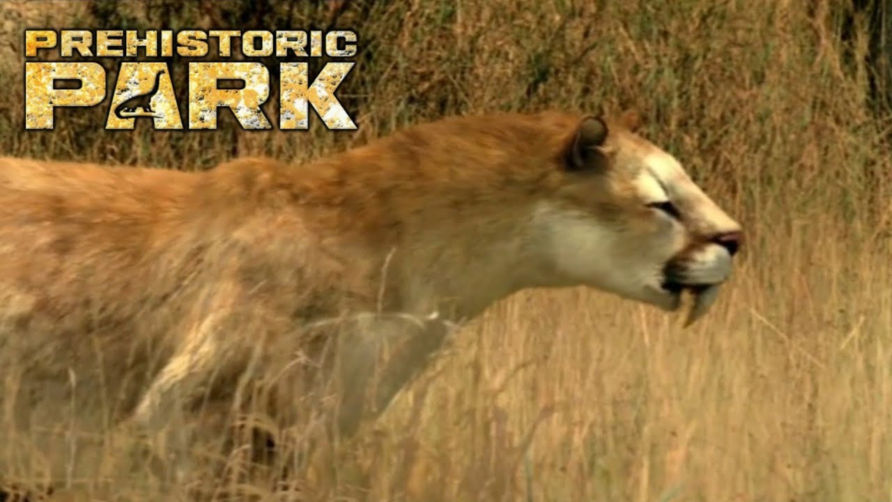 Saber Tooth Hunt, Prehistoric Park Ep 4 (2006) - YouTube