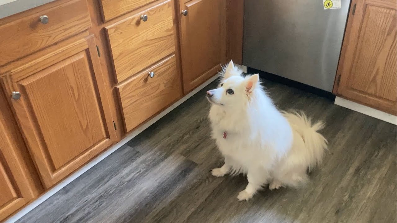 Week 3: Shake, Go To Bed, Grooming - YouTube