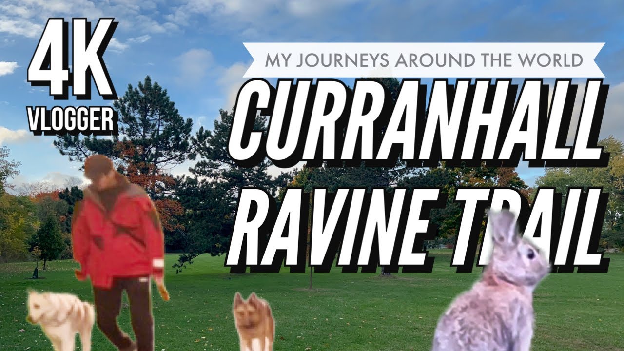 4K walk through Curran Hall Ravine - Quiet little trail tour - YouTube