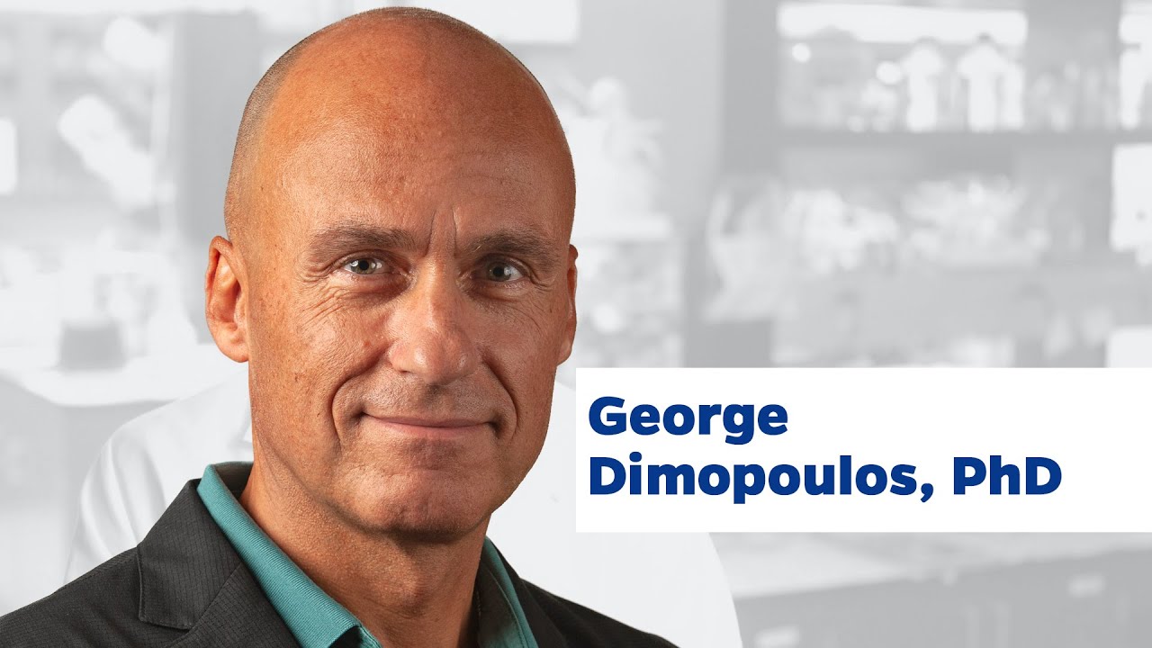 Fighting Mosquitos with Natural Insecticide | George Dimopoulos, PhD ...