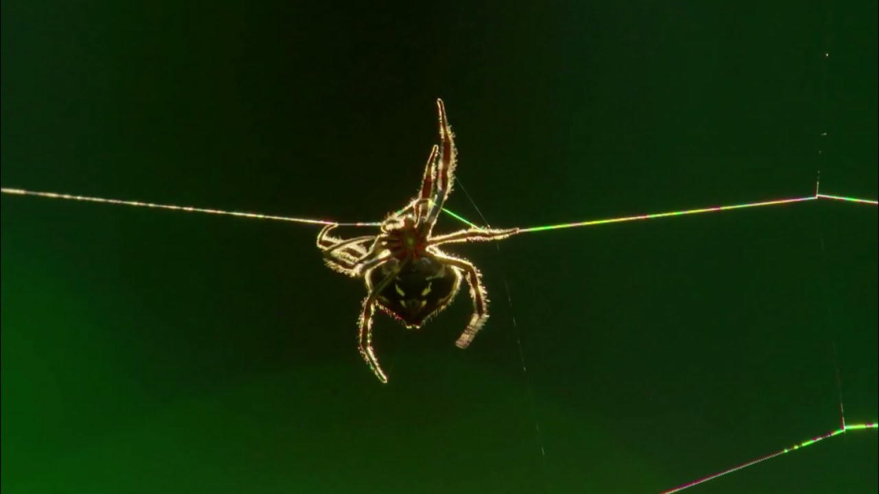 Dross Into Gold, Original Version - YouTube