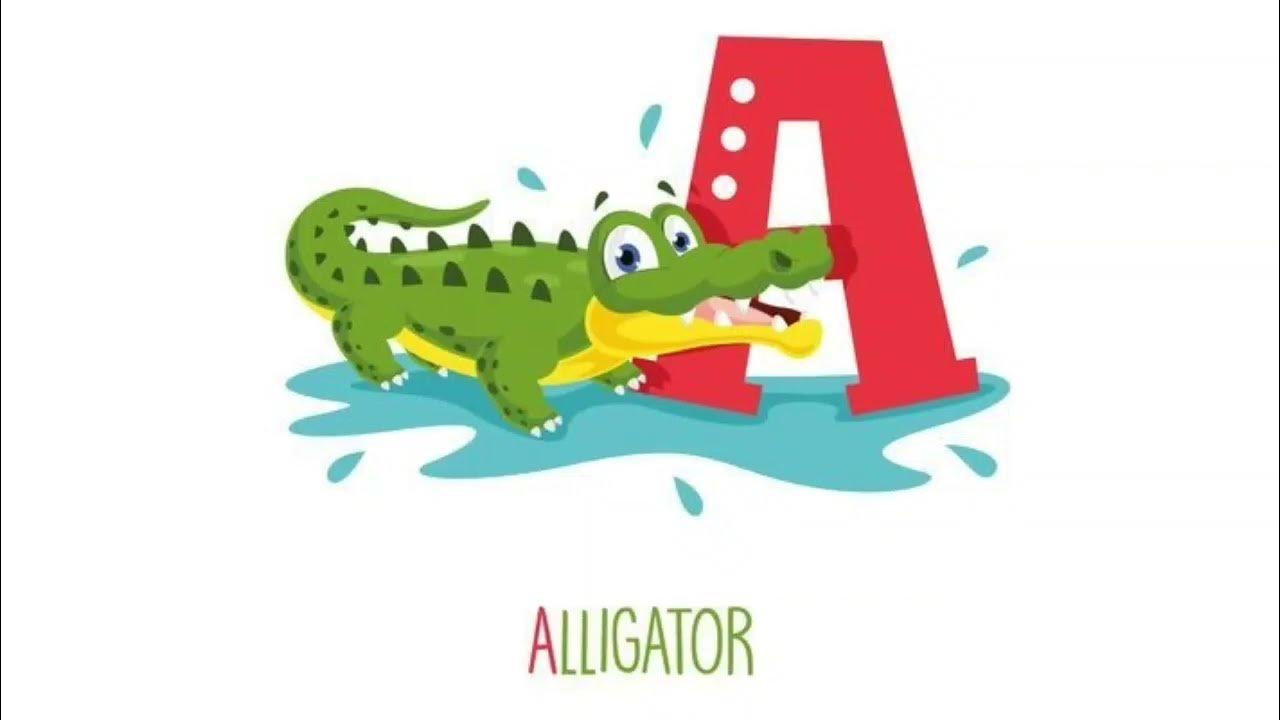A for alligator /Zoo animal alphabet letters learn phonic song/Zoo ...