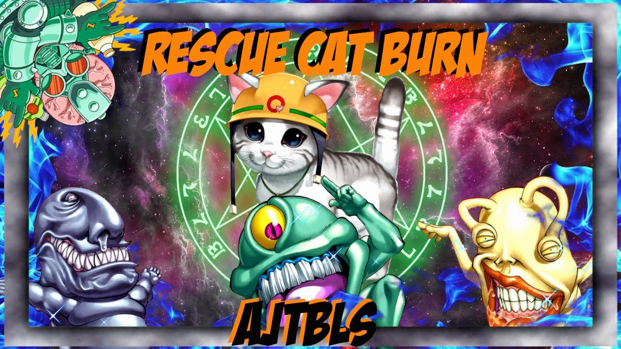 "AJTBLS!" Cat OTK/Panda Burn - Yu gi oh! GOAT Format Deck Discussion ...