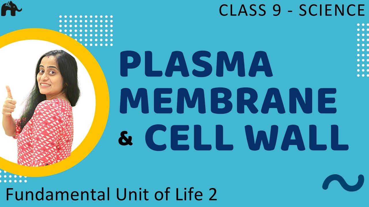 Plasma Membrane vs Cell wall | Fundamental Unit of Life #2 | Class 9 ...