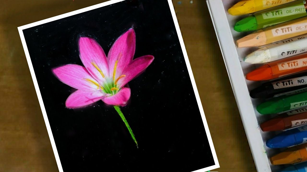 Rain Lily Drawing Easy step by step|zephyranthes carinata flower ...
