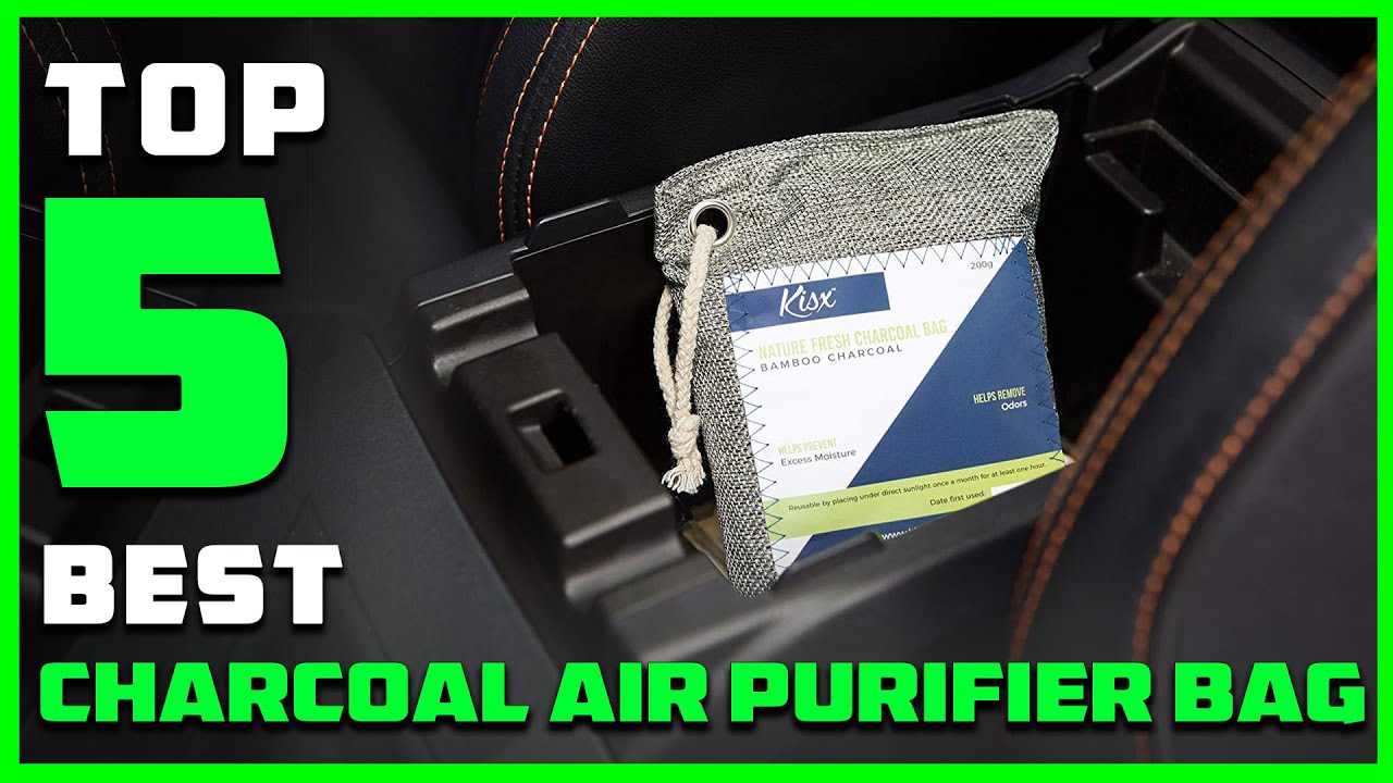 Best air purifier bags store