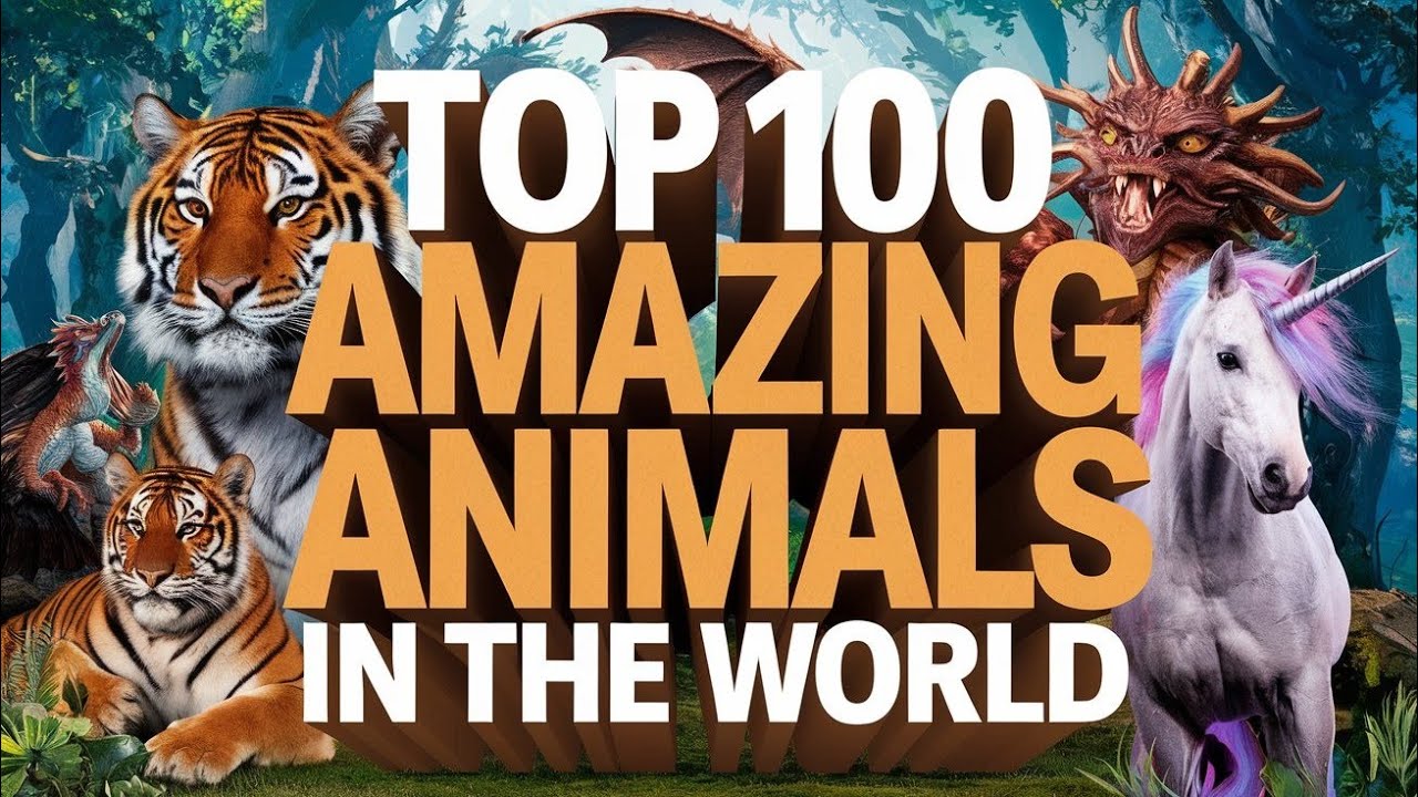 100 Amazing Animals In The World - YouTube