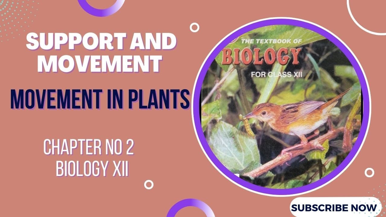 XII Ch # 2 | Support And Movement | support and movement in plants ...