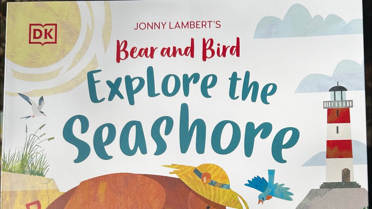 Bear and Bird Explore the Seashore by Jonny Lambert - YouTube