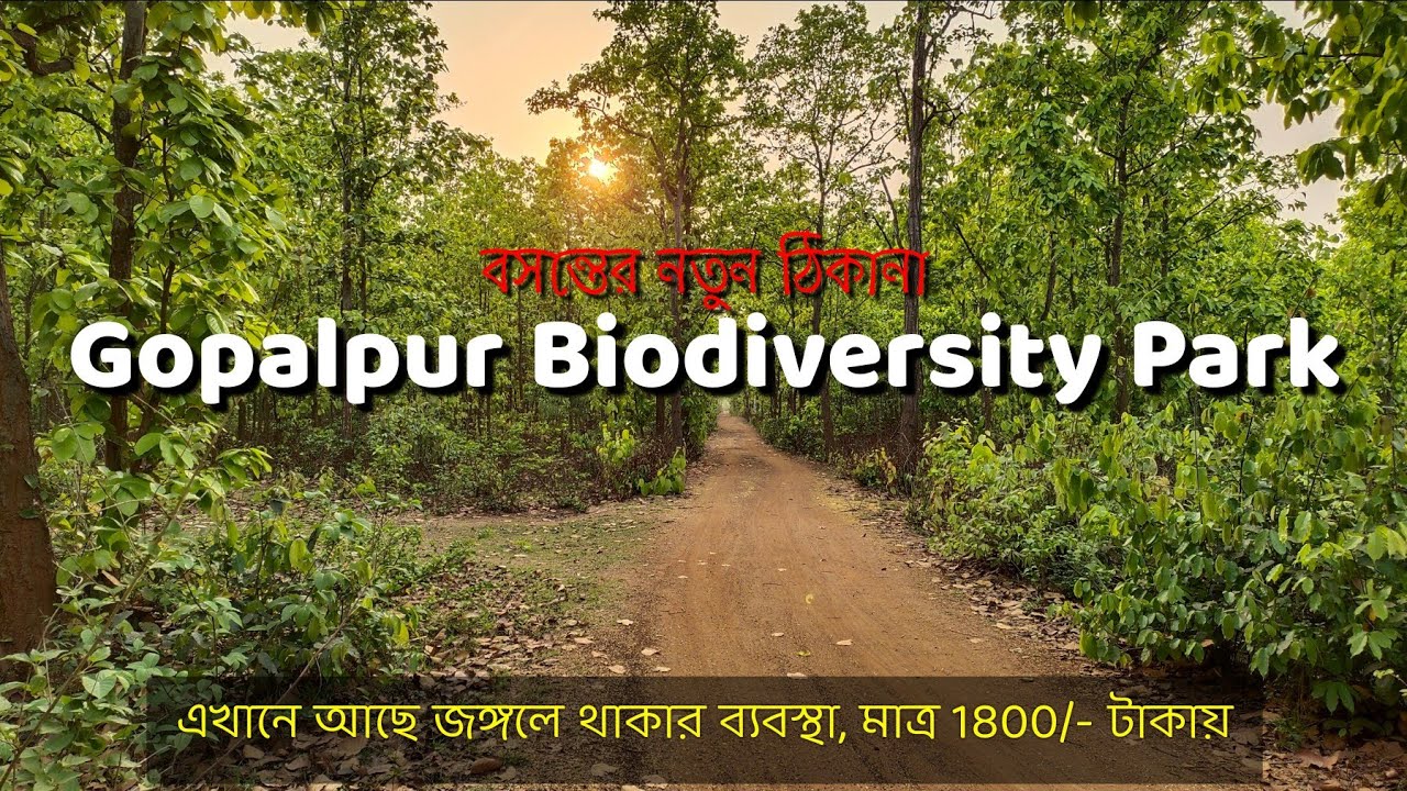 গোপালপুর বায়োডাইভার্সিটি পার্ক | gopalpur biodiversity park - YouTube