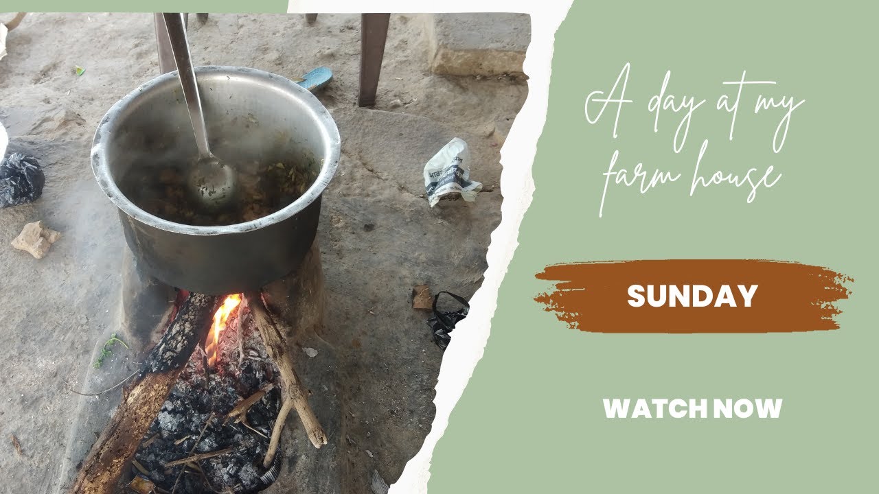 Cooking Mutton At My Farm | A Day at My Farm House - YouTube