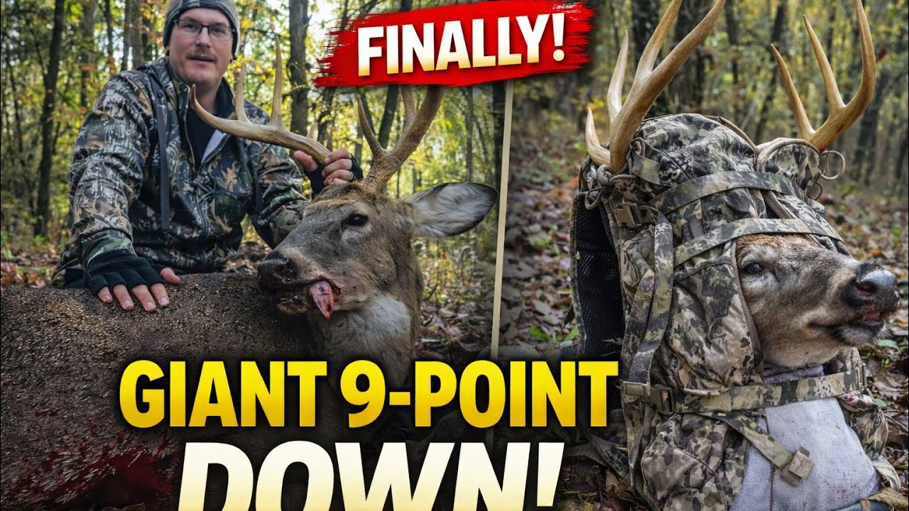 I Chased This Buck For 5 Hunts - Then It Finally Happened! Giant 9 ...