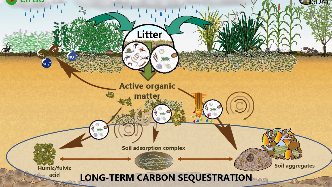 Soil Aggregates