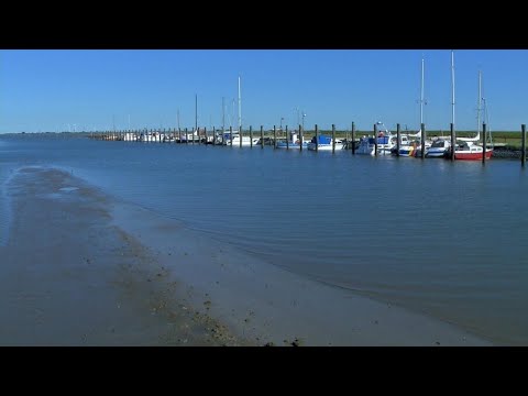 Ebbe und Flut die maus  M