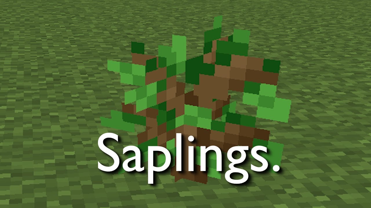 Saplings. - YouTube