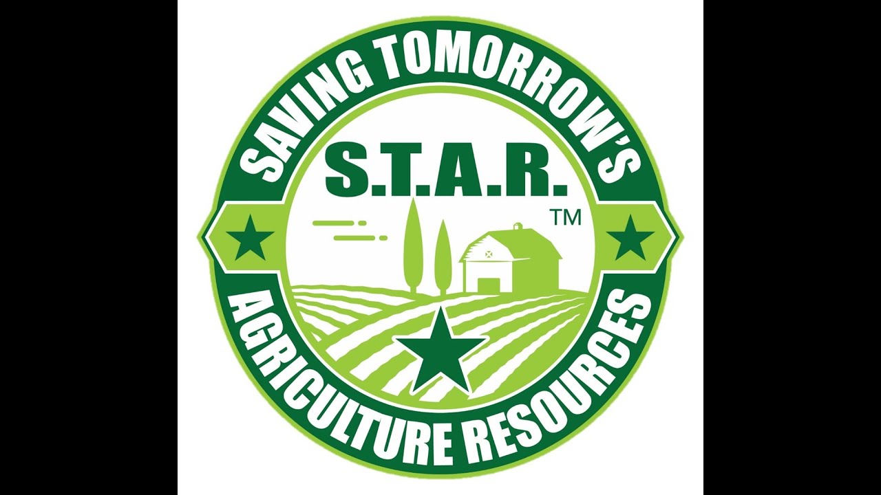 STAR Plus - Program Overview - YouTube