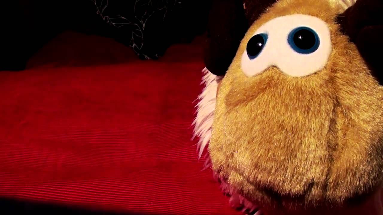 Dramatic Sheep! - YouTube