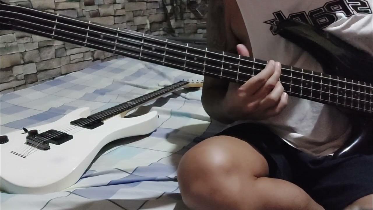 hed pe bartender bass cover - YouTube