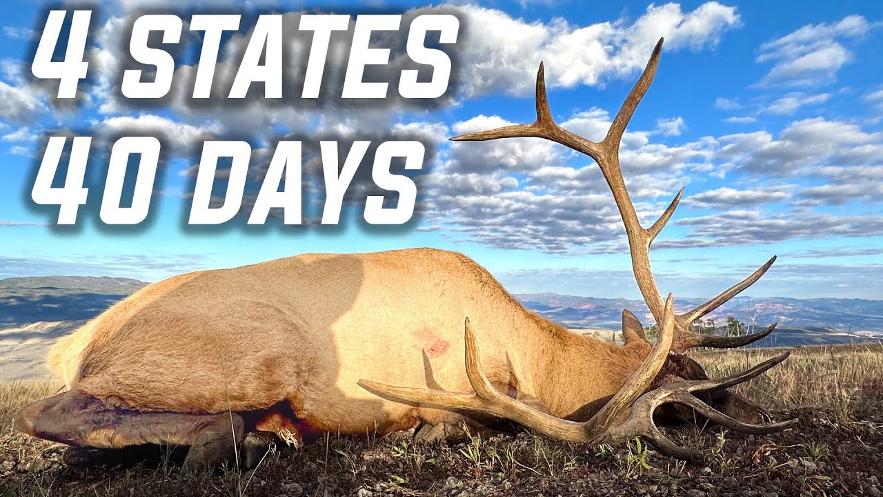WE BOWHUNTED ELK IN 4 STATES FOR 40 DAYS STRAIGHT (9 Bulls Down) - YouTube