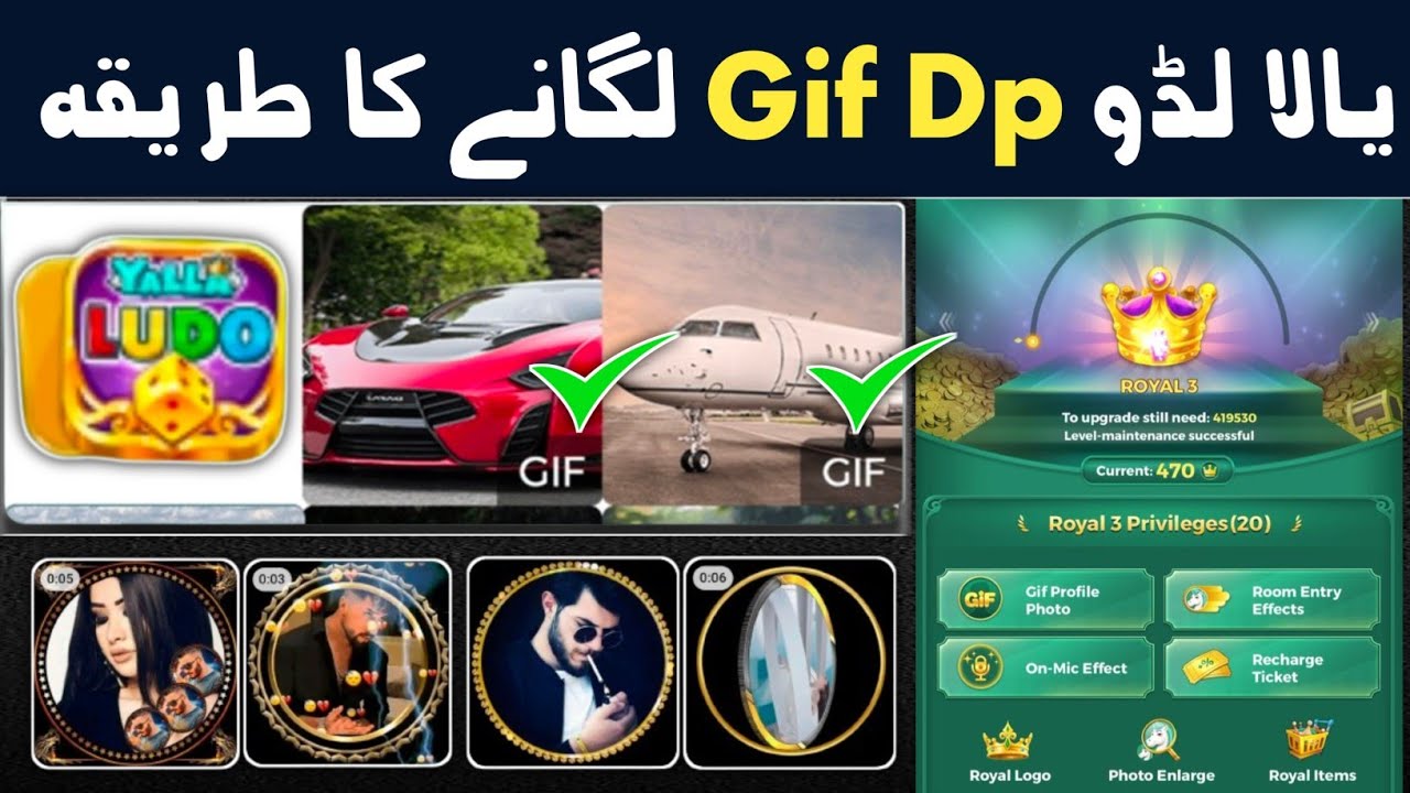 How to make yalla ludo gif dp | Upload yalla ludo video dp. - YouTube
