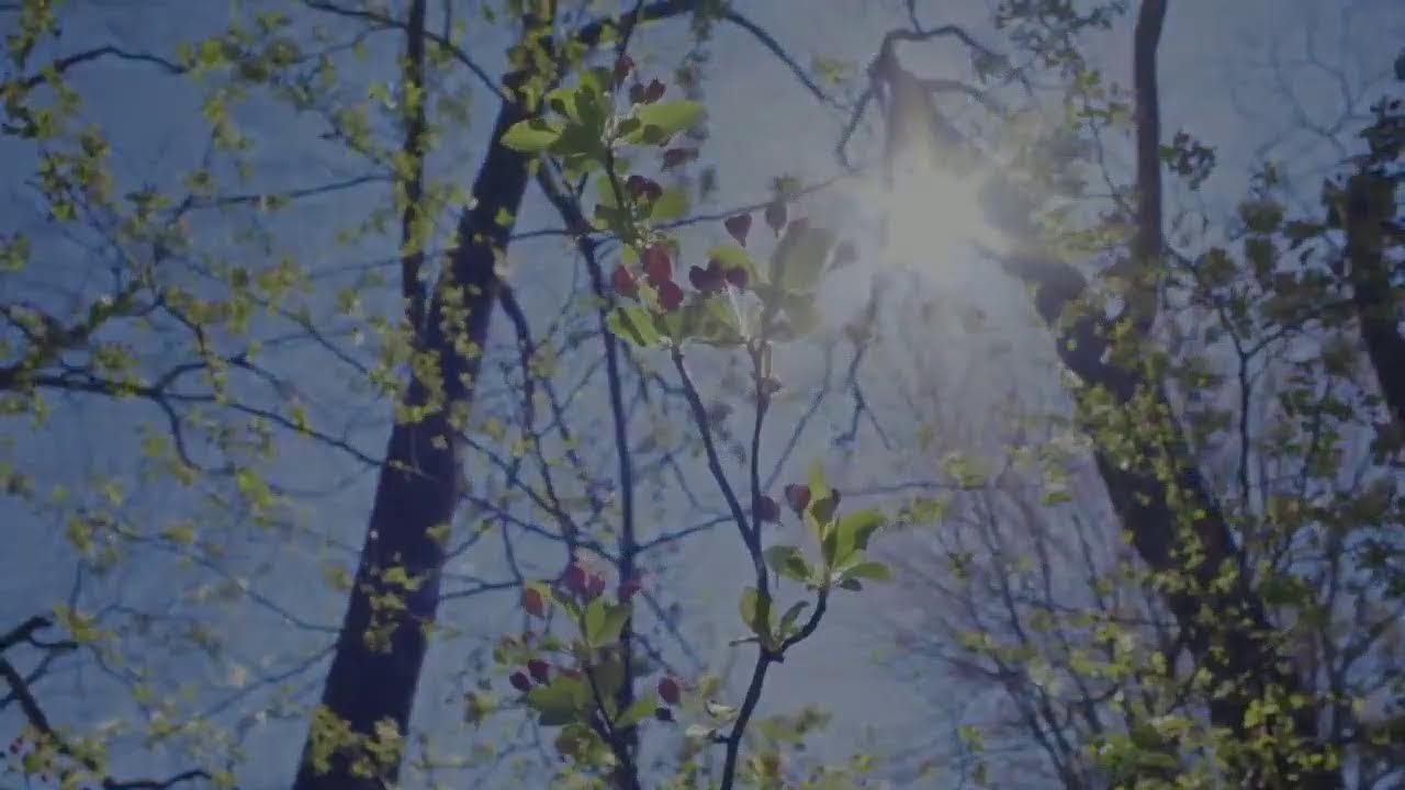 First United Methodist Church Compton - YouTube