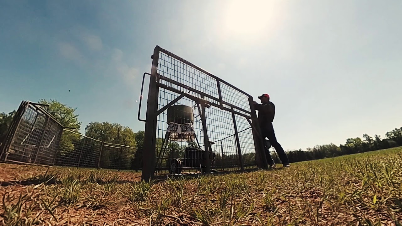 trap timelapses 1_Gate Caddy - YouTube