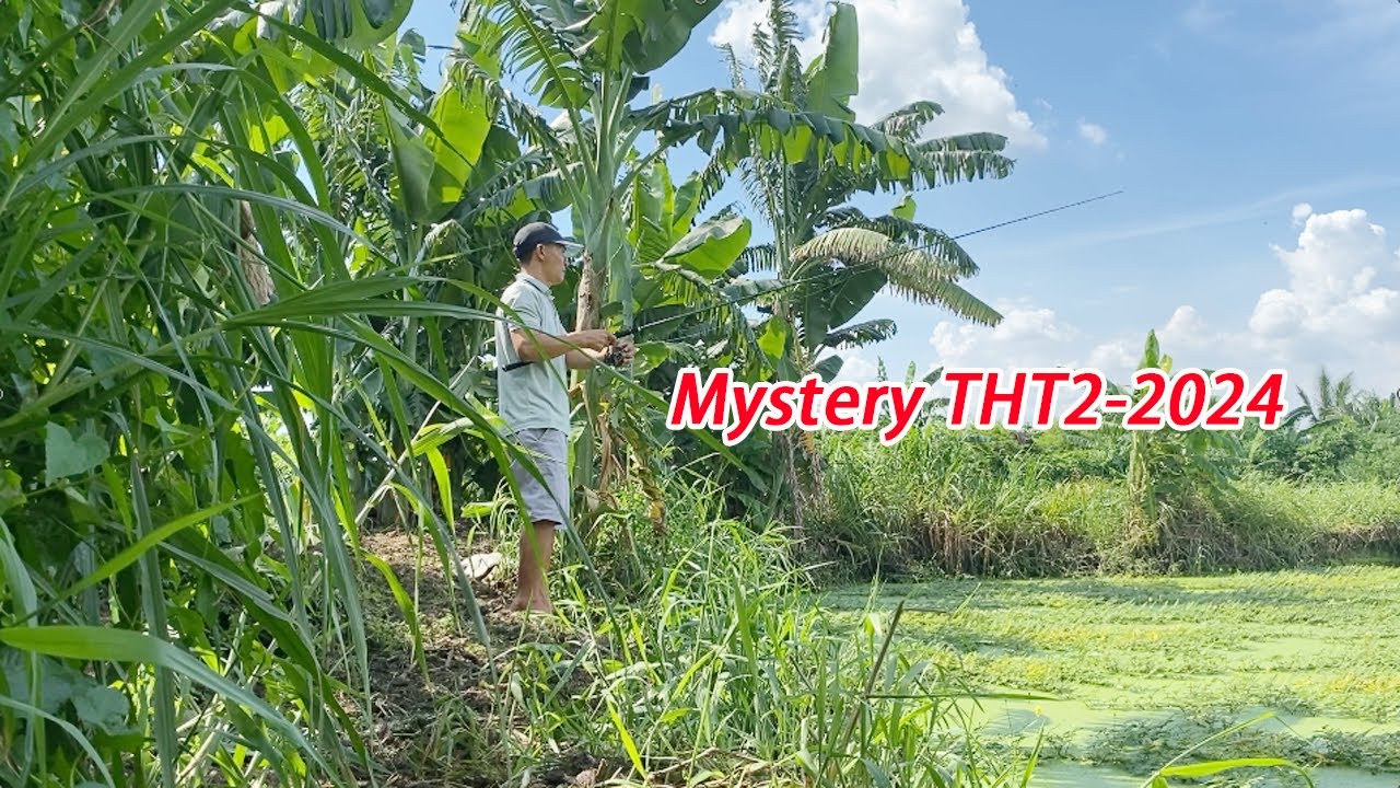 Cần câu Tsurinoya Mystery THT2-2024/ Lure, Shore jigging, câu sông, câu ...
