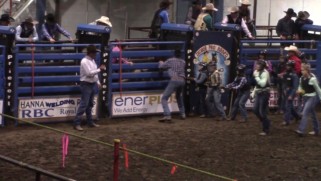 Wild pony race Sunday 2016 - YouTube