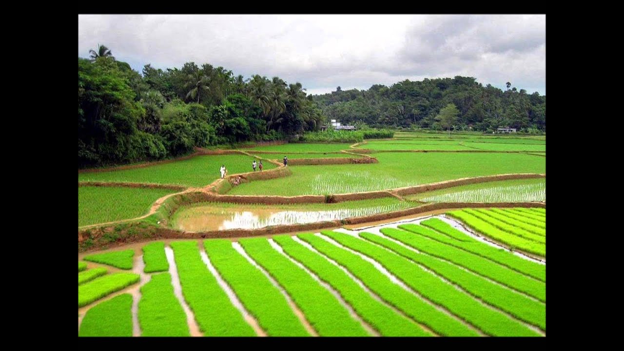 The Spirit of Kerala - YouTube