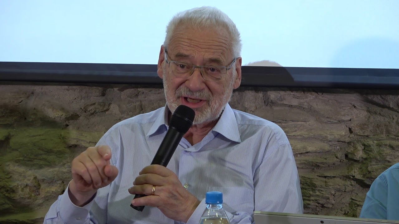 Erhard Busek (former Vice-Chancellor of Austria) - Central Europe - YouTube