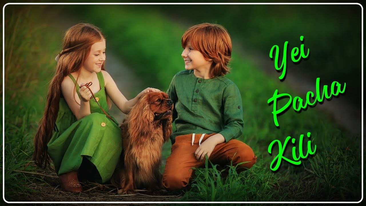 ஏய் பச்ச கிளி - Yei Pacha Kili - YouTube