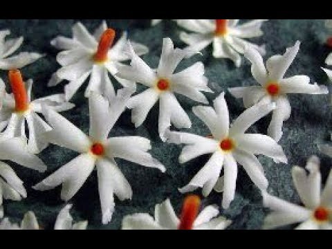 Parijatha Flower with Cloth - Make it at home. - YouTube